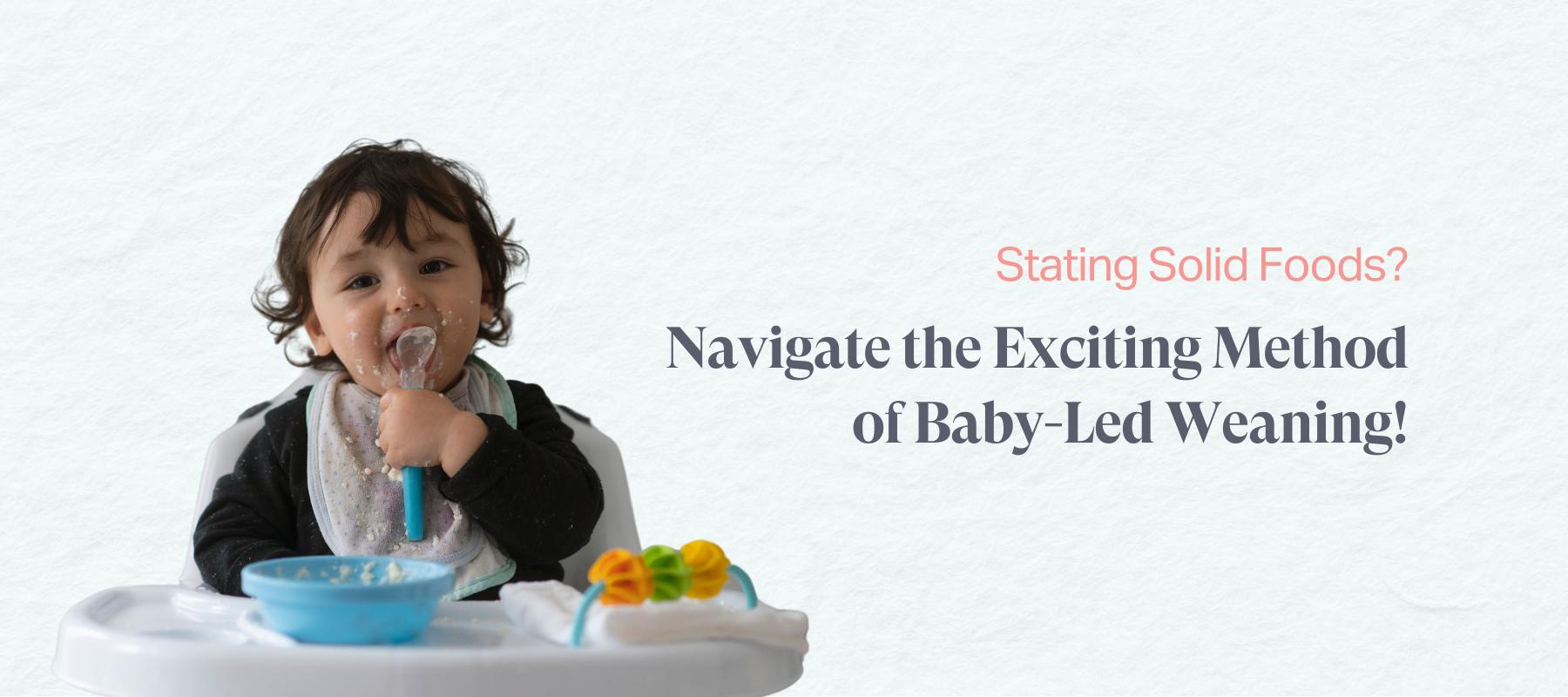 Starting Solid Foods? Navigate the Exciting Method of Baby-Led Weaning ...